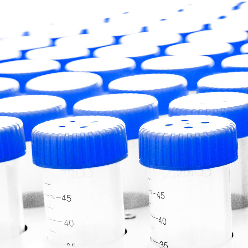 Introduction to Transient Transfection