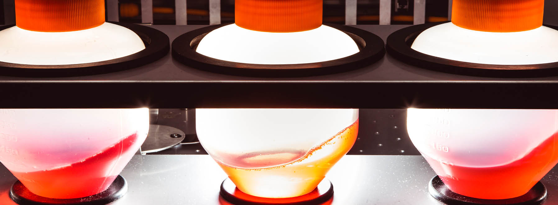 Learn more about the procedure of Transient Transfection.